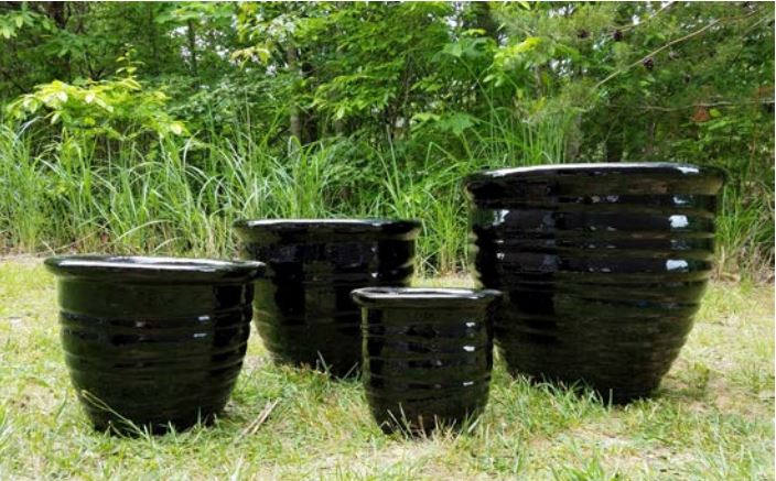 COLIMA JAR 12" X 10" – Grassland Aquatics